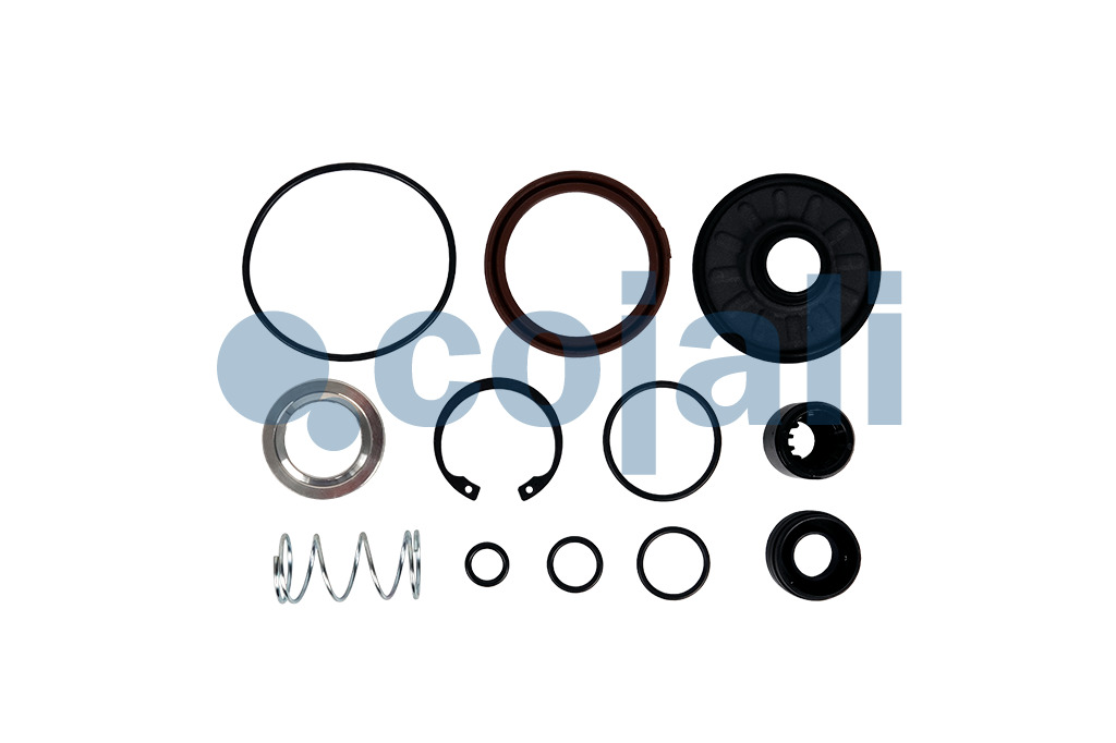 6012365 | 4801049202 | VALVE REPAIR KIT - Cojali Parts