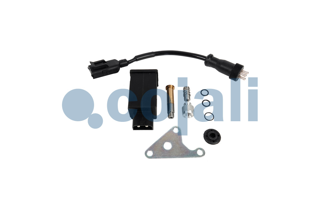 6012369 | 4420191151 | VALVE REPAIR KIT - Cojali Parts