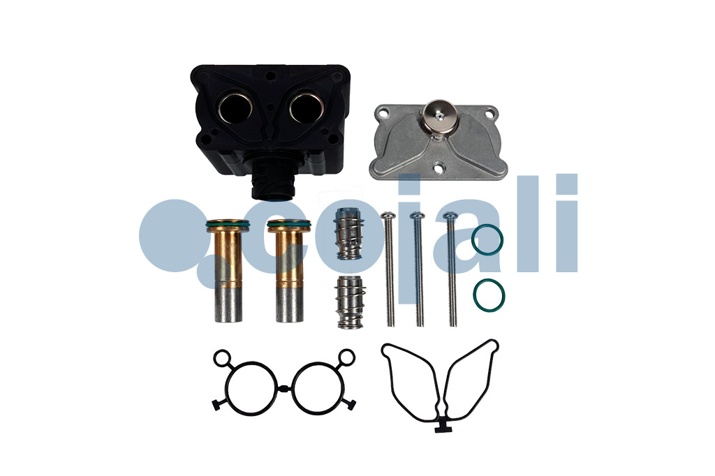 6012379 | 4422302221 | VALVE REPAIR KIT - Cojali Parts