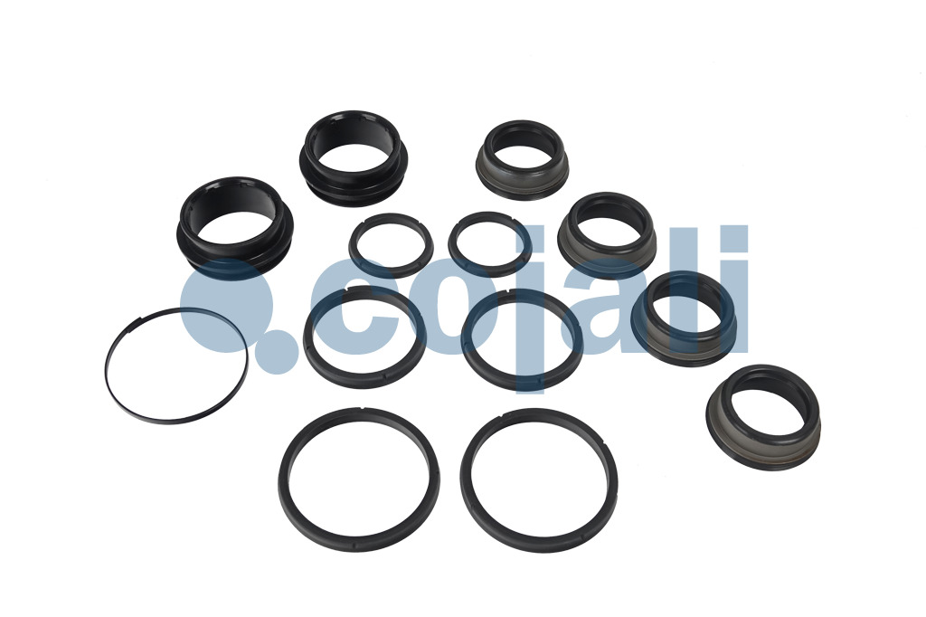 6012384 | 4213659232 | GEARBOX ACTUATOR REPAIR KIT - Cojali Parts