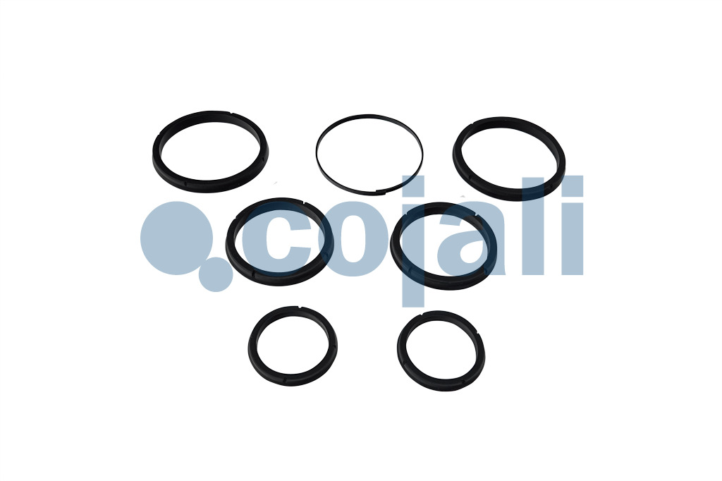 6012384 | 4213659232 | GEARBOX ACTUATOR REPAIR KIT - Cojali Parts