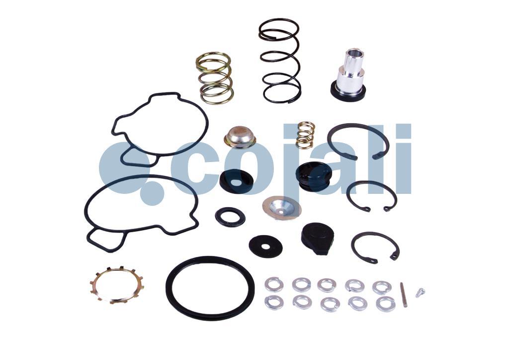 6014101 | I829190051 | VALVE REPAIR KIT - Cojali Parts