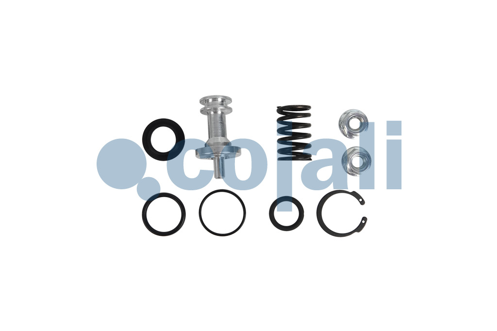 6014240 | K066243K50 | VALVE REPAIR KIT - Cojali Parts