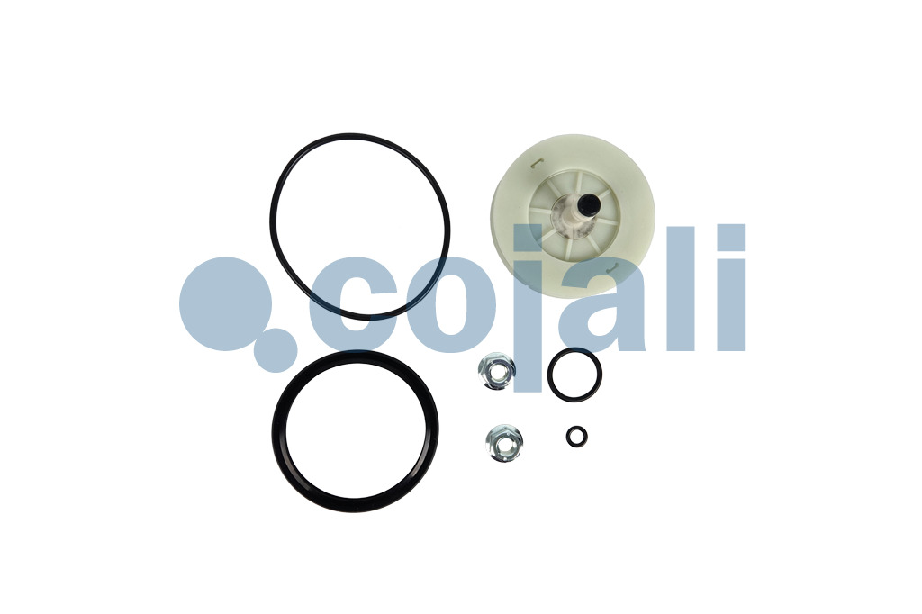 6014241 | K003442 | VALVE REPAIR KIT - Cojali Parts