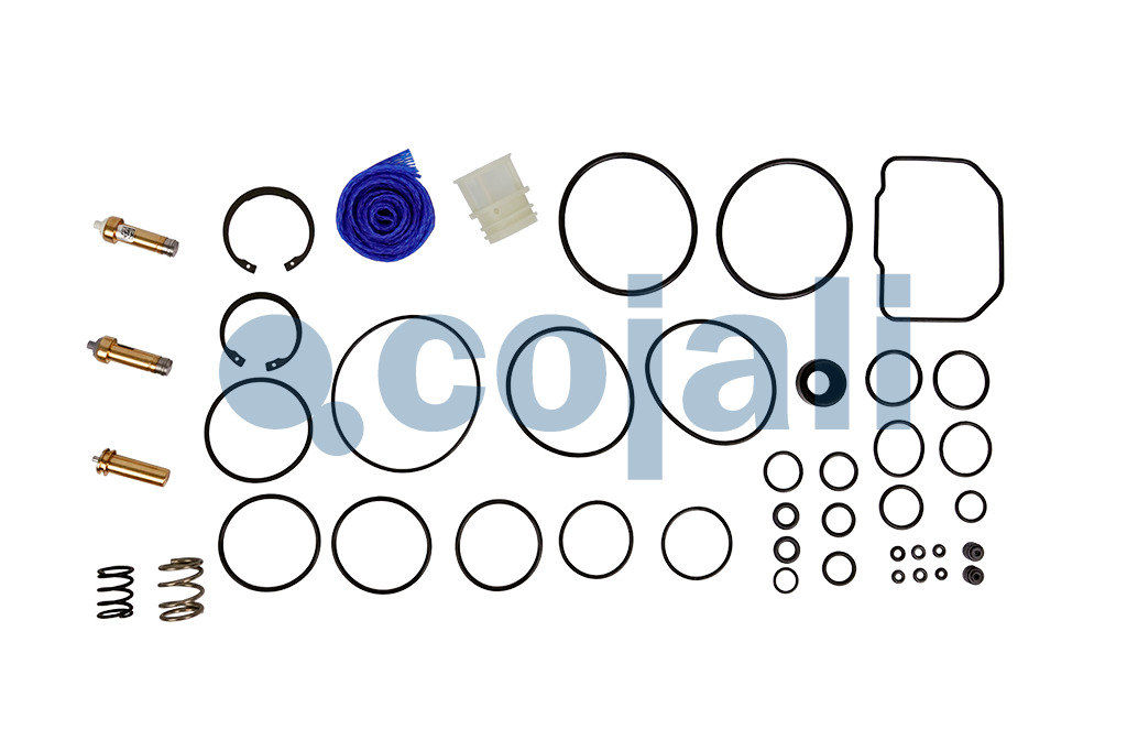 6014274 | NO OEM | VALVE REPAIR KIT - Cojali Parts