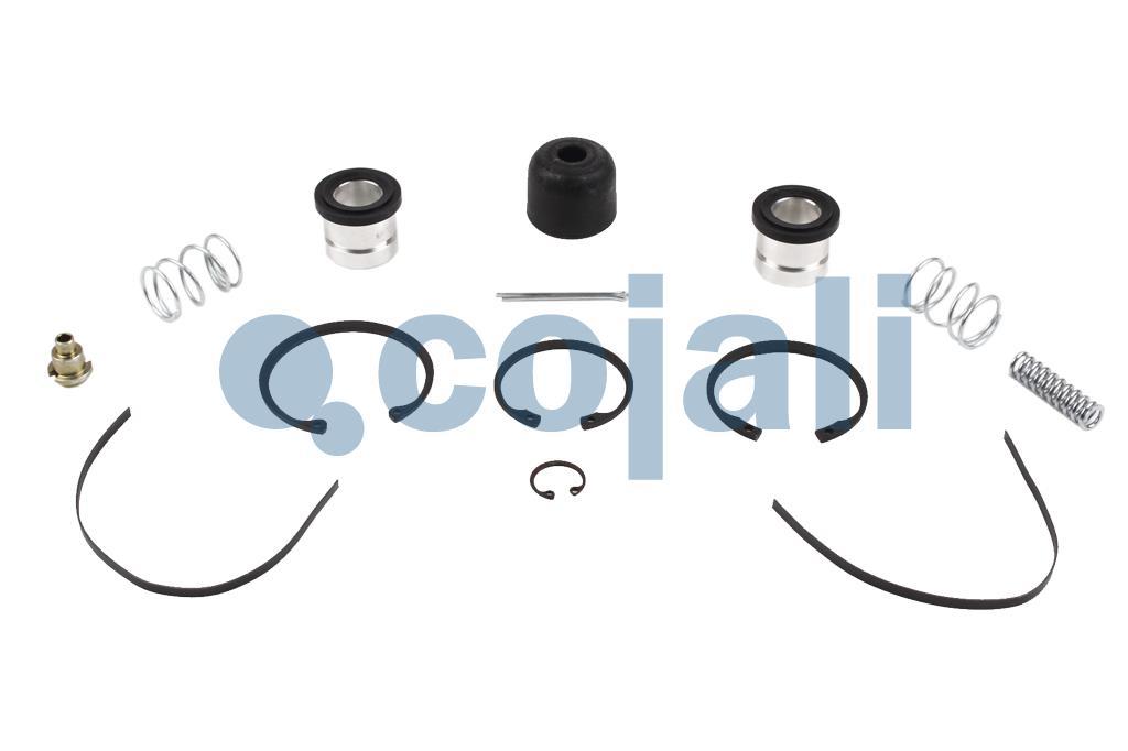 6014435 | 076637004000 | VALVE REPAIR KIT - Cojali Parts