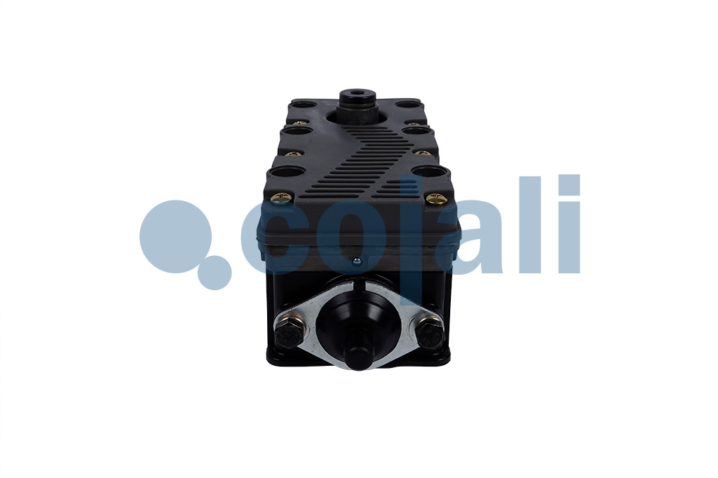 6016050 | 78703S | VALVE REPAIR KIT - Cojali Parts
