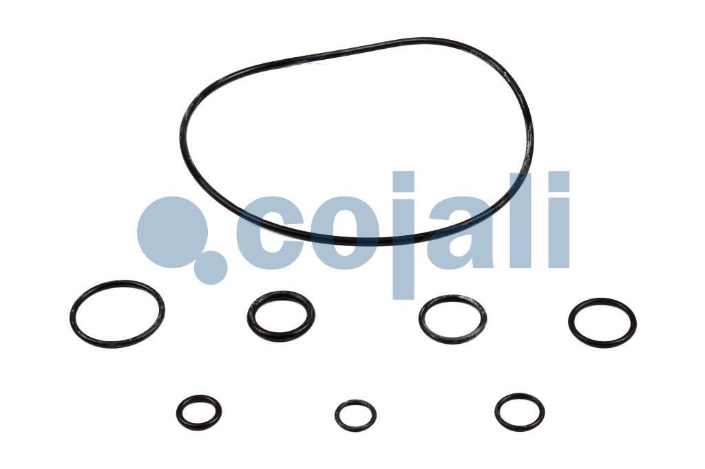 6034026 | 628131AM | CLUTCH SERVO REPAIR KIT - Cojali Parts