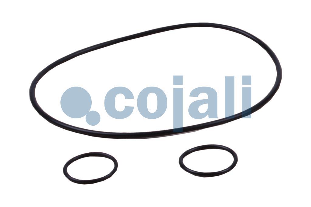 6034028 | 628305AM | CLUTCH SERVO REPAIR KIT - Cojali Parts