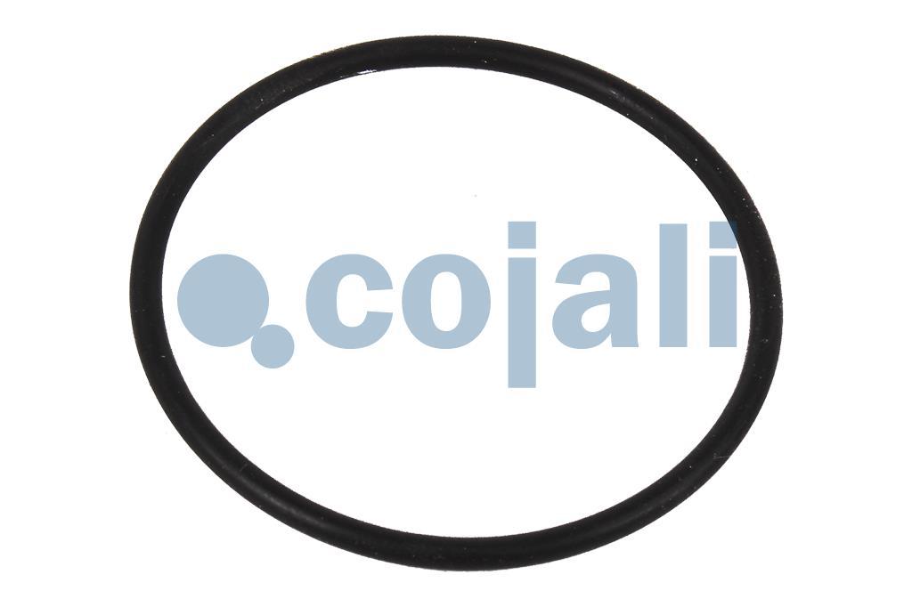6084033 | K000365 | BRAKE CALIPER REPAIR KIT - Cojali Parts