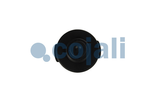 2203110 | 9325109052 | VALVE REPAIR KIT - Cojali Parts