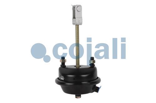 2251107 | 4231069000 | BRAKE CHAMBER T-24 - Cojali Parts