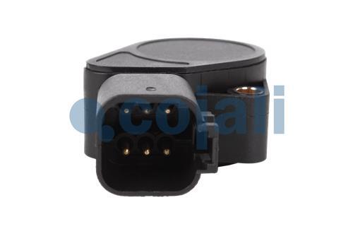 2260372 | 7482492421 | ACCELERATOR POSITION SENSOR - Cojali Parts