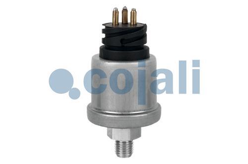 2260456 | 81274210097 | PRESSURE SWITCH - Cojali Parts