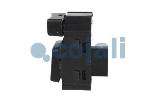 2260481 | 1863514 | DOOR CONTROL PANEL - Cojali Parts