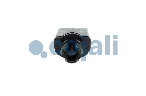 2260767 | 1100799 | TEMPERATURE SENSOR - Cojali Parts