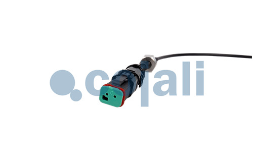 2260907 | 2265872 | EXHAUST GAS TEMPERATURE SENSOR - Cojali Parts