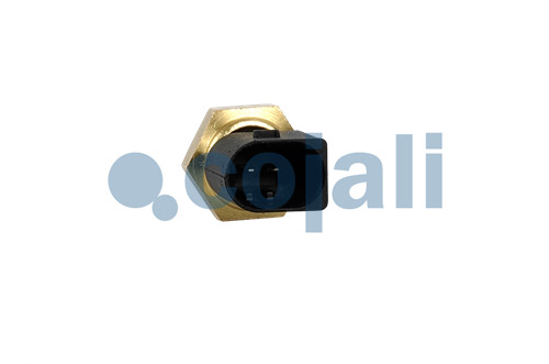 2260948 | 0041534228 | FUEL TEMPERATURE SENSOR - Cojali Parts