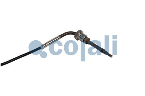 2262016 | 69502363 | EXHAUST GAS TEMPERATURE SENSOR - Cojali Parts