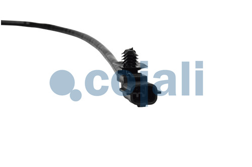 2262025 | 226407522R | EXHAUST GAS TEMPERATURE SENSOR - Cojali Parts