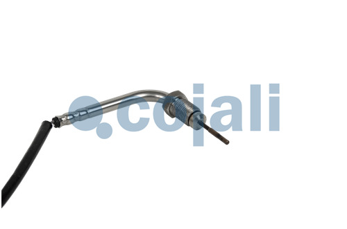 2262025 | 226407522R | EXHAUST GAS TEMPERATURE SENSOR - Cojali Parts