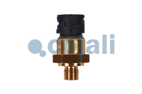 2262423 | 11038813 | OIL PRESSURE SENSOR - Cojali Parts