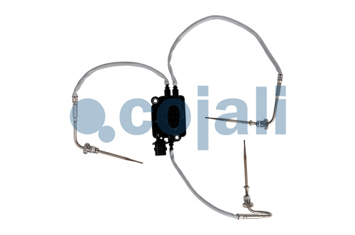 2262655 | 4307101 | EXHAUST GAS TEMPERATURE SENSOR - Cojali Parts