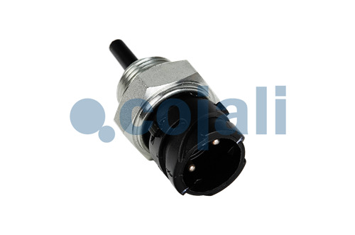 2262715 | 0125421017 | TEMPERATURE SENSOR - Cojali Parts