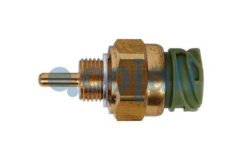 2262752 | 1844101 | FUEL TEMPERATURE SENSOR - Cojali Parts