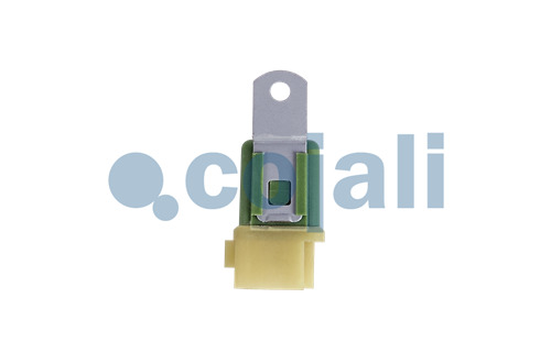 2263038 | 4251588 | RELAY - Cojali Parts