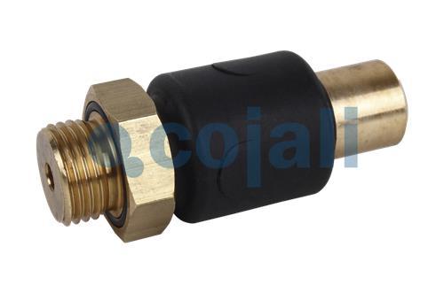 2280107 | 4346082200 | SOUPAPE DE SÛRETÉ - Cojali Parts