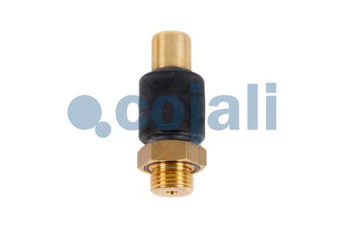 2280112 | 4346082250 | SAFETY VALVE - Cojali Parts