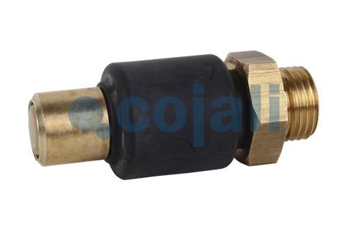 2280113 | 4346082260 | SAFETY VALVE - Cojali Parts