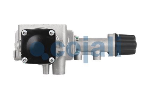 2420100 | 602005001 | PNEUMATIC LSV - Cojali Parts