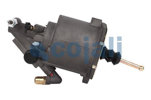 2550304 | 1000178631AM | CLUTCH SERVO - Cojali Parts