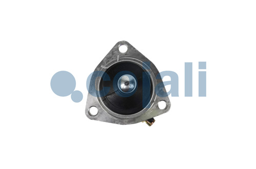 2556024 | 1754943 | MASTER CYLINDER - Cojali Parts