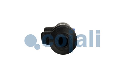 2556033 | 1669488 | MASTER CYLINDER - Cojali Parts