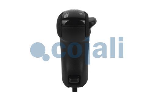 2880179 | 1441231 | VENTIL RAZENÍ - Cojali Parts