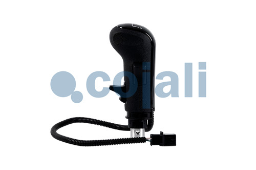 2880192 | 81326200095 | GEARBOX KNOB - Cojali Parts