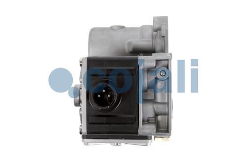 2880211 | 4213510700 | RANGE GROUP MODULE - Cojali Parts