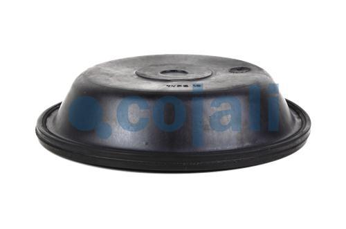6001108 | 8971205104 | 16" DIAPHRAGM NORMAL STROKE - Cojali Parts