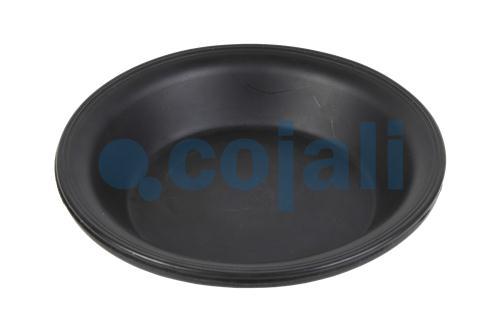 6001116 | 8971205304 | 24" DIAPHRAGM NORMAL STROKE - Cojali Parts