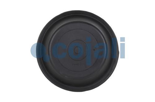 6001116 | 8971205304 | 24" DIAPHRAGM NORMAL STROKE - Cojali Parts