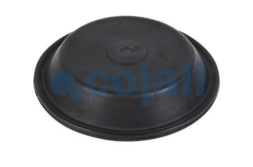 6001121 | 8971205404 | 30" DIAPHRAGM NORMAL STROKE - Cojali Parts
