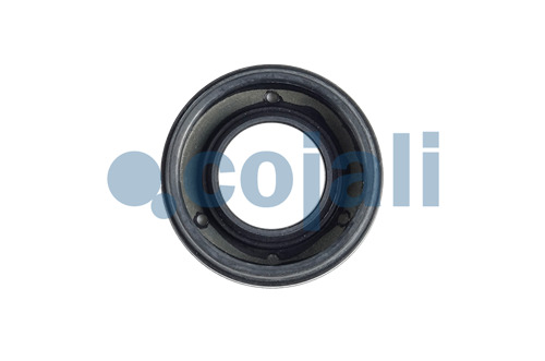 6002263 | 8995069072 | PISTON - Cojali Parts