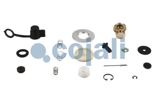 6012021 | NO OEM | VALVE REPAIR KIT - Cojali Parts
