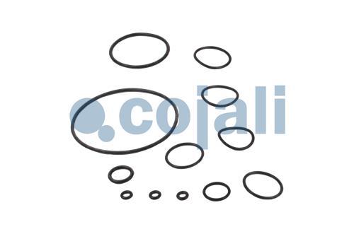 6012030 | 4757110002 | VALVE REPAIR KIT - Cojali Parts