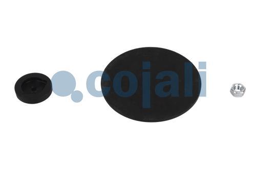 6012084 | 4324150002 | VALVE REPAIR KIT - Cojali Parts