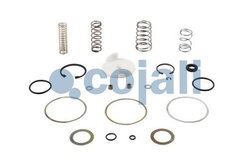 6012095 | 9617010002 | VALVE REPAIR KIT - Cojali Parts