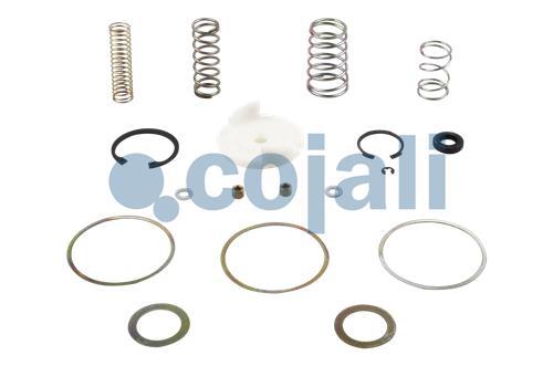 6012095 | 9617010002 | VALVE REPAIR KIT - Cojali Parts